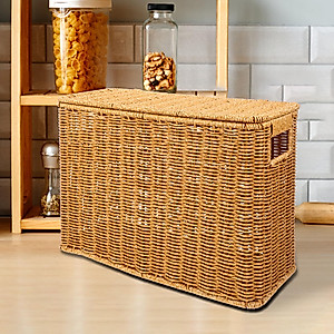 Gadpiparty Large Wicker Storage Basket with Lids Wicker Basket Rattan Magazine Holder Decorative Basket Bin Woven Storage Container, 15 Inch