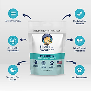 Under the Weather Pet Natural Probiotics for Cats | 60 Bite Size Soft Chews Cat Multivitamins and Treats Filled with Good Bacteria | Promotes Healthy Digestion, Appetite and Strong Immune Support