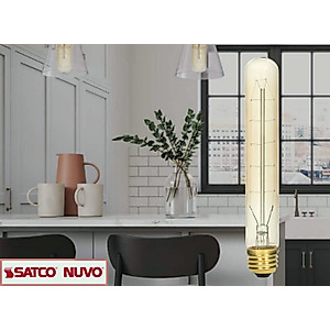 Satco 60 Watt T9 Incandescent; Clear; 3000 Average Rated Hours; 230 Lumens; Medium Base; 120 Volt for Pendant Lighting Fixtures, Decorative for Dining Room, Studio, Lounge, Restaurants (6 Pack)