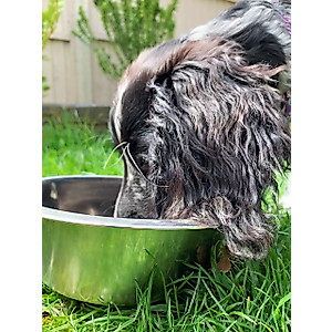 Snow Peak Unisex's Dog Bowl-Stainless Steel, Unset, Medium