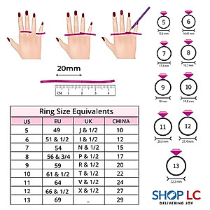 SHOP LC 925 Sterling Silver Engagement Rings Rhodium Plated Cubic Zirconia CZ Wedding Promise Rings for Her Wedding Band for Women Jewelry Ct 3.8 Size 10 Birthday Gifts for Women