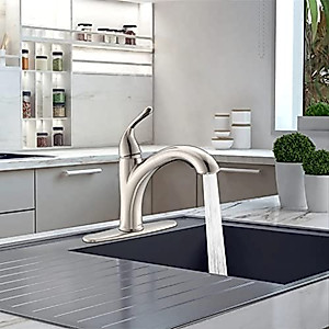 Kitchen Sink Faucet - Single Handle Pull-Out Sprayer Kitchen Faucet in Brushed Nickel with Deckplate(Brushed Nickel)…