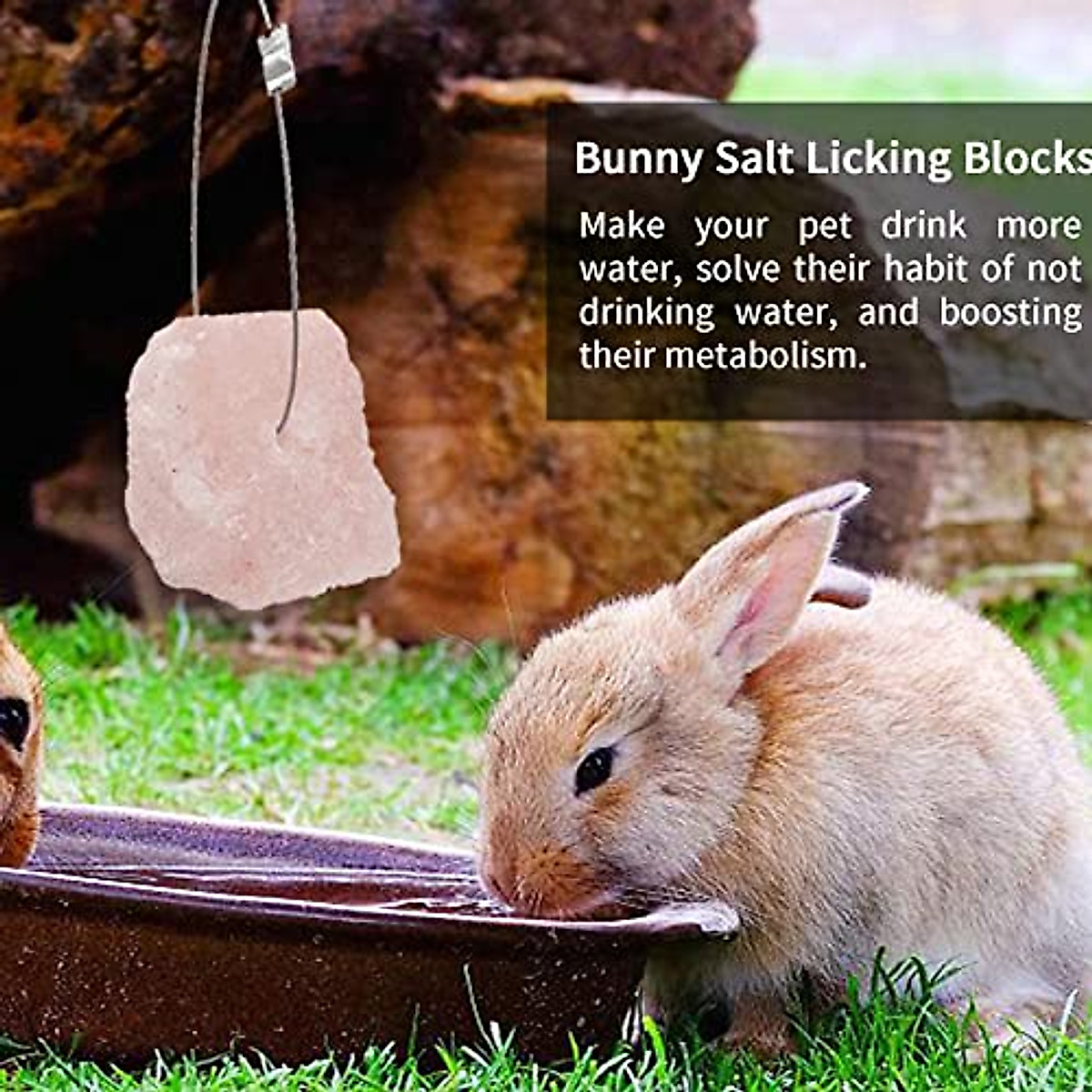 BNOSDM 12 Pack Small Animals Himalayan Salt Licks Set, 6 Rabbit Mineral Salt Blocks and 4 Hamster Teeth Grinding Stones Natural Bunny Chew Treat Toys for Rats Guinea Pigs Ferrets Chinchillas