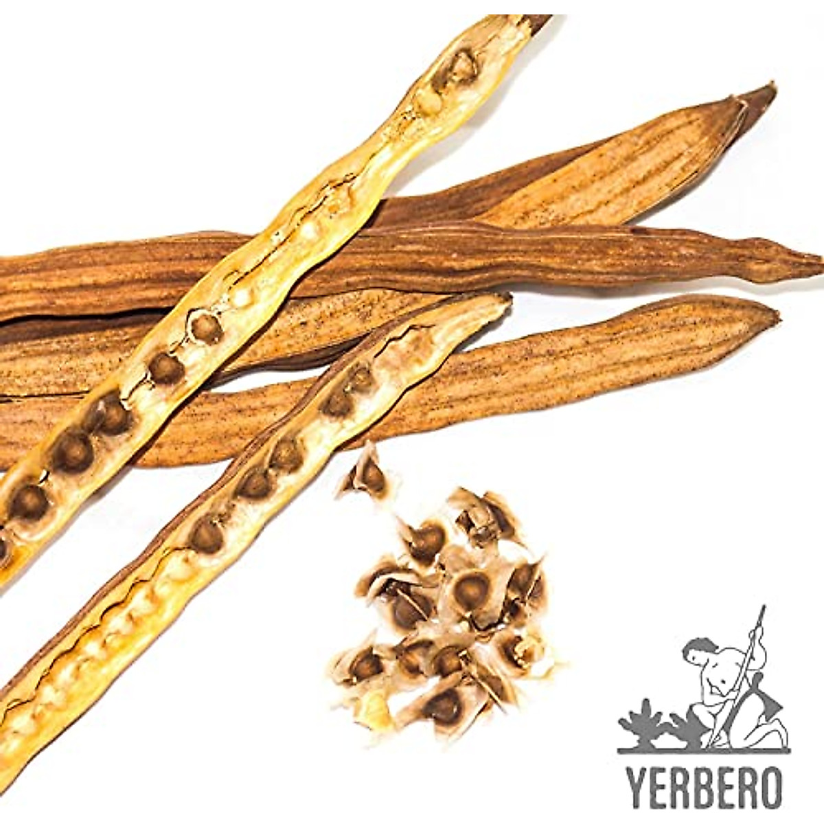 Yerbero - 100% All Natural Moringa Oleifera Seeds 600 Count (6oz) | (Drumstick Tree) | Semillas De Moringa Comestibles