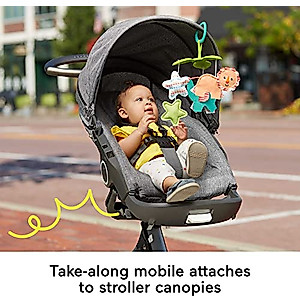 Fisher-Price Safari Music & Lights Gym Tummy Time Playmat with Take-Along Toys for Newborns from Birth and Older