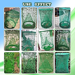 6 Pack Ranch Fly Trap, 2024 New Hanging Fly Catcher, The Most Effective Trap Ever Made with Pots, Cage Catcher for Indoor and Outdoor, Family Farms, Park, Restaurants