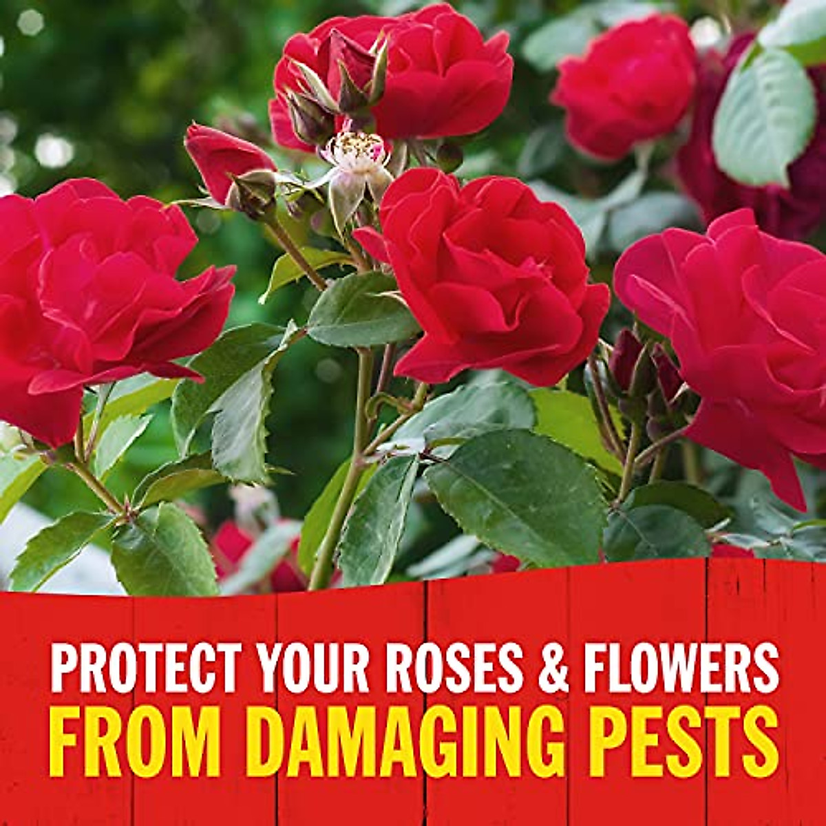 Sevin 100542716 Sulfur Dust, Multi