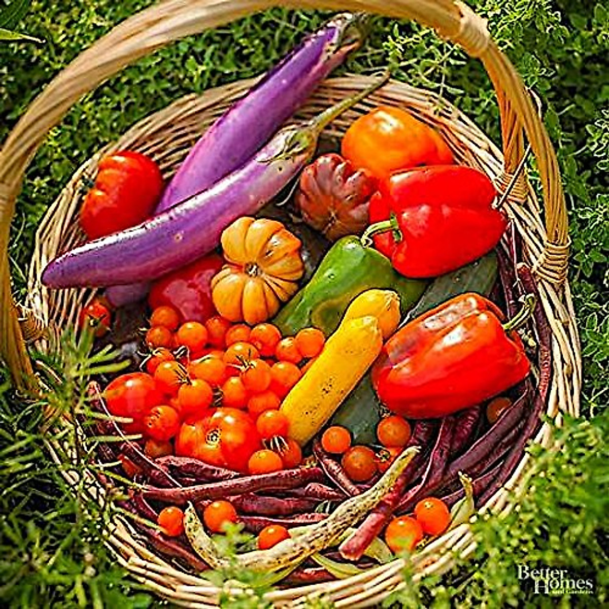 Nelson All Vegetable Garden Plant Food Granular Fertilizer Multi Purpose High Calcium Phosphorus Micronutrients In Ground Gardens Containers Greenhouses NutriStar 12-14-11 (2 LB)