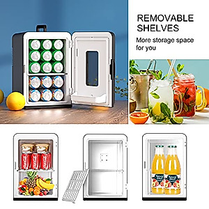 15 Liter/21 Cans Mini Fridge, 110V AC/12V DC Skincare Fridge for Bedroom, Portable Thermoelectric Cooler and Warmer Small Refrigerator for Makeup, Food, Drinks, Office and Car, Transparent Window