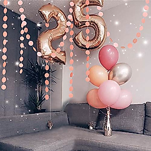 Cheerland Circle Dots Garland for Wedding Party Decorations Winter Wonderland Hanging Circle Streamers Dot Backdrop Backdrop Banner Decor for Bday Birthday Baby Shower Bachelorette (Pink)