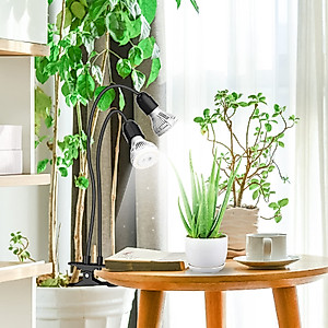 SANSI LED Grow Lights for Indoor Plants, Lifetime Free Bulb Replacement, 300W Full Spectrum Dual Gooseneck Clip Plant Grow Light with Optical Lens for High PPFD Growing Power Lamp