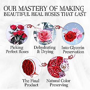 GLAMOUR BOUTIQUE Forever Flower Gift Box: 12 Real Preserved Roses in Round Velvet White Box, Handmade, Rose Petals, Birthday, Marriage,Anniversary, Graduation - Red