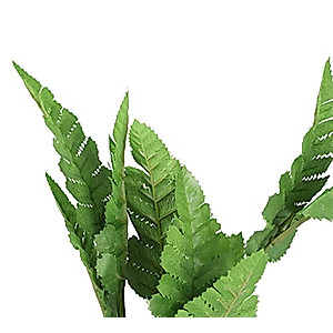 CNZ® 3 Pcs Assorted Lifelike Green Aquarium Plastic Plant Decoration