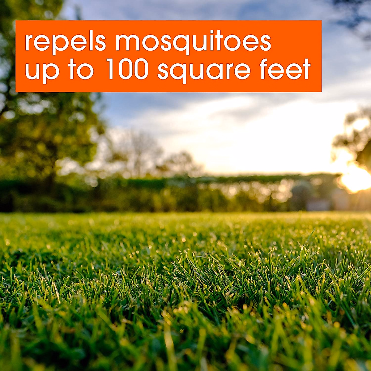 OFF! Backyard Mosquito Repellent Coil Refills, Perfect for Outdoor Patios Country Fresh Scent, 6 Count