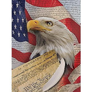 HIVICHI Golf Shirts for Men Funny Print Hawaiian Crazy Mens Polo Shirt Eagle Flag Shirt, X-Large, Aop-polo-81779