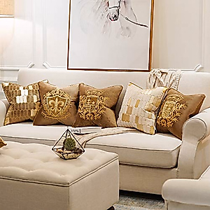 Avigers 20 x 20 Inch Embroidery Velvet Cushion Cover Shield Luxury European Pillow Case Pillowcase Home Decorative for Sofa Chair Bedroom Throw Pillow, Brown