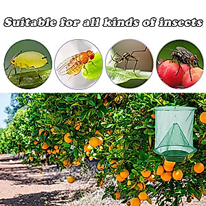 6Pack Ranch Fly Trap - Reusable Fly Trap with Tray for Indoor Outdoor Hanging Farms,Stable,Garden,Orchard,Park