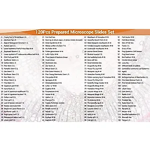 120 Prepared Microscope Slides for Kids & Students, Microscope Glass Slides Set Including Animal & Plant Specimens, Suitable for School and Home Education