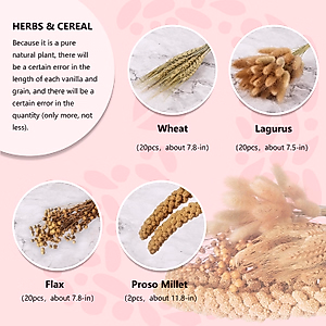 Sysmashing Hamster Bedding, Natural Hamster Bedding, Flowers and Cereals, Enclosure Decoration for House cage Habitat, for Gerbils Mouse Rat Lemming Degus Guinea Pig,Small Animal Bedding Pets