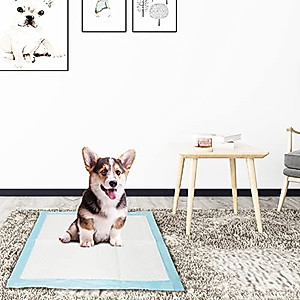 kathson 22" x 22" Puppy Pee Pads Rabbit Disposable Potty Training Pad 40PCS Super Absorbent & Leak-Free Doggy Pet Supplies for Bunny Kitten Small Dog Guinea Pig