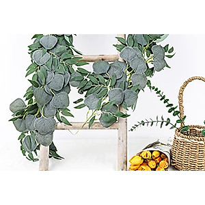 10 Pcs 6.2 Feet Artificial Silver Dollar Eucalyptus Leaves Garland with Willow Vines Twigs Leaves String for Doorways Greenery Garland Table Runner Garland Indoor Outdoor.…