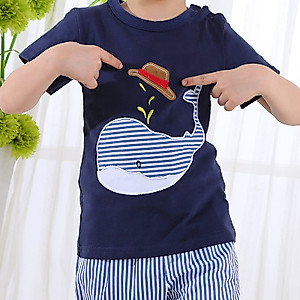 Haydendear Toddler Boys Short Sleeve T-shirts Tee and Shorts Set Summer Clothes 2001QZ(3T)