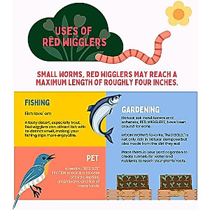 50+ Red Wigglers Composting Worms, Composting Bins