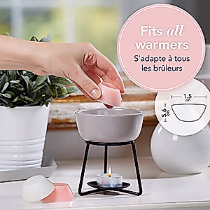 Yankee Candle Wax Melts | Moonlit Cove | Up to 8 Hours of Fragrance | 1 Count (1630637E)