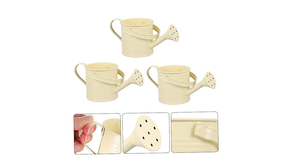 Mini Watering Can Set - 10 Galvanized Iron Sprinklers for Plants