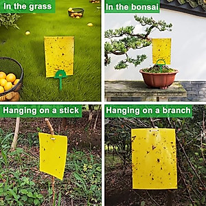 50 Sheets Sticky Fly Traps, Dual-Sided, for Flying Insect, Indoor and Outdoor, 8x6 Inch, Yellow