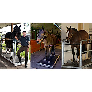 Vitafloor VMC Vibration Training Platform for Horses - Speed Recovery & Reduce Injury Time with Vibration Therapy for Horses!