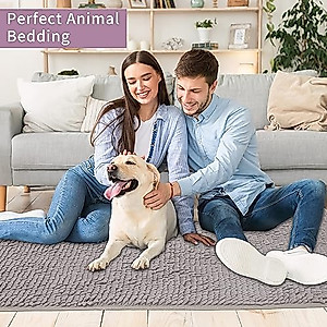 DZWLKJ Guinea Pig Fleece Bedding Cage Liners, 2 Pcs 47" X 24" Blanket for Cage, Pee Pads Washable Also for Chinchilla, Ferret, Hedgehog, Hamster, Rabbit, Rat, Bunny and Other Small Animal Cage