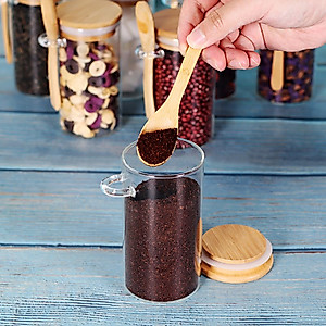LEAVES AND TREES Y Set of 8 Glass Jars with Bamboo Lids and Spoons, 10 OZ Airtight Small Glass Tea Containers for Loose Tea, Coffee and Sugar Glass Container for Yogurt Jars with Lids