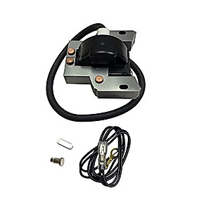 ENGINERUN 398593 Ignition Coil Module Magneto for Briggs & Stratton 3HP Engines 793281, 793352, 792594, 395489, 398593 496914