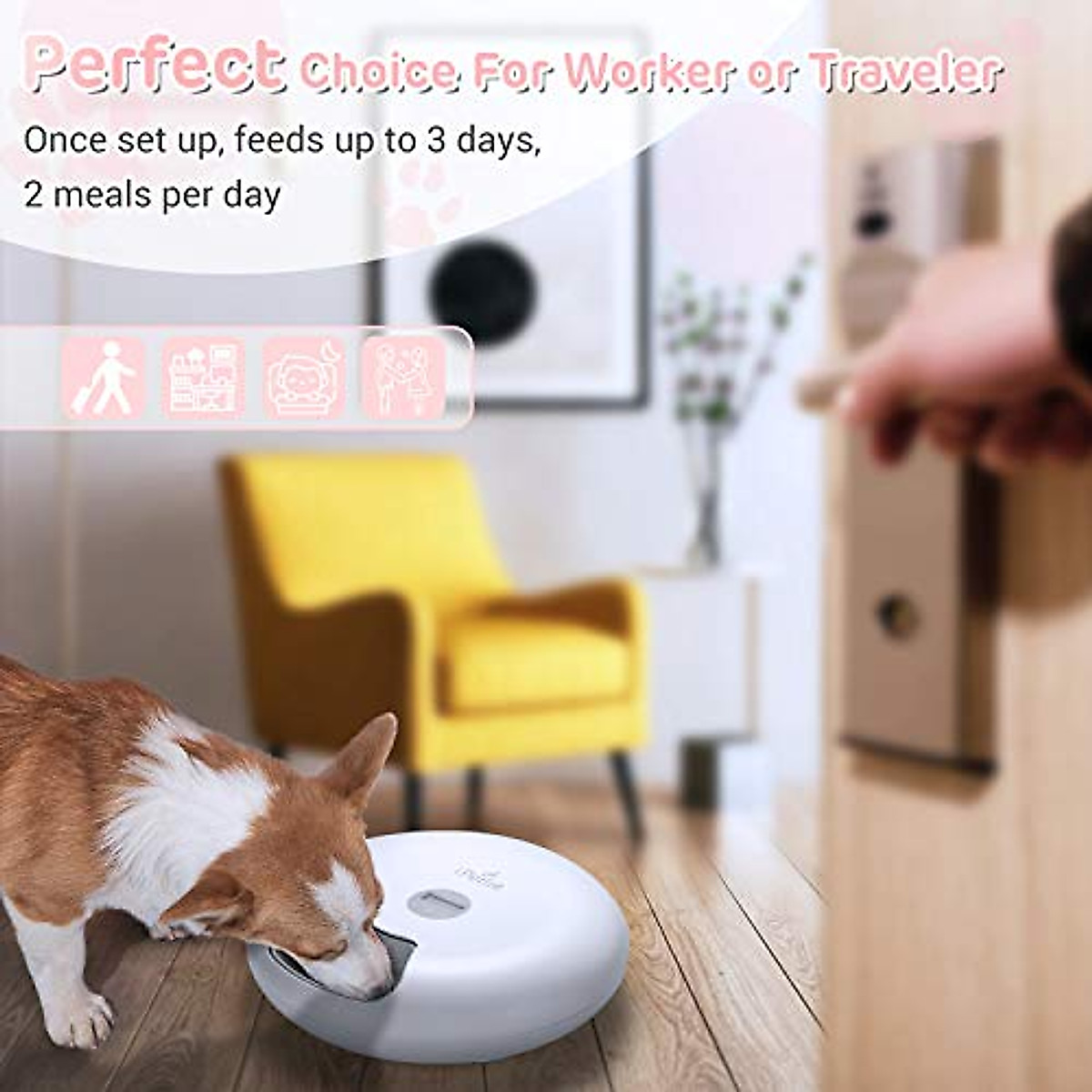 iPettie Donuts 6-Meal Automatic Wet and Dry Food Pet Feeder with Programmable Timer, Auto Dispenser for Cat and Small & Medium Dog, Batteries & USB Power Supply, White