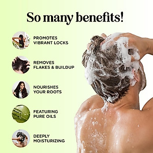 Sulfate Free Shampoo and Conditioner Set - Tea Tree Sage and Rosemary Shampoo and Conditioner for Dry Flaky Scalp Care - Deep Cleansing Color Safe Shampoo and Conditioner for Damaged Dry Hair Care