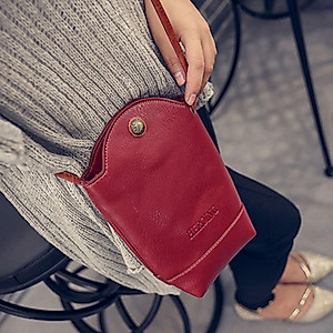 Shoulder Bag, Women Messenger Bags Casual Slim Crossbody Tote Handbag Small Body Bags (Red)