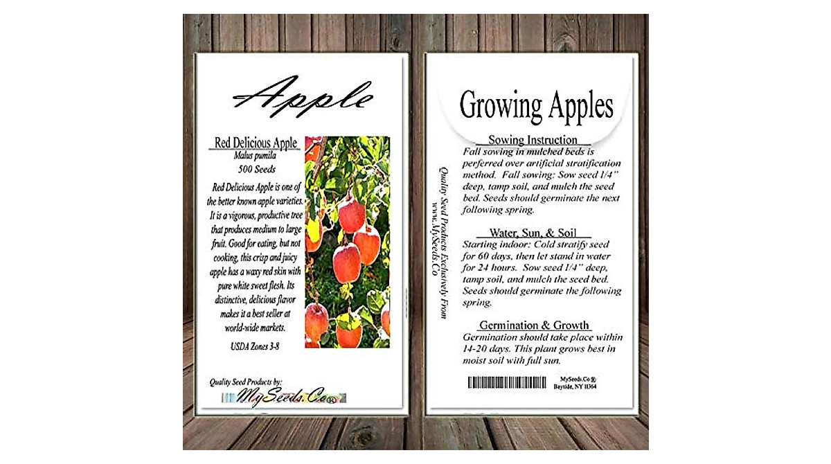 Big Pack Red Delicious Apple Seeds - 500 Tree Seeds