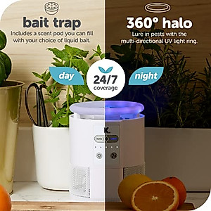 Katchy Duo 2 in 1 Indoor Fruit Fly Trap, Mosquito Killer, and Gnat & Bug Catcher with UV Light Fan and Sticky Traps for Bugs