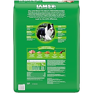 IAMS Adult Minichunks Small Kibble High Protein Dry Dog Food with Real Chicken, 40 lb. Bag