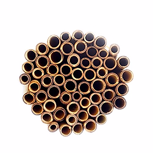 IA Crafts Bamboo Tubes, for Mason Bees, Natural Bamboo Bee Nest, Easy to Split for Cocoon Harvest, 5.9" Long and 0.27"-0.4" Inner Diameter (0.75)