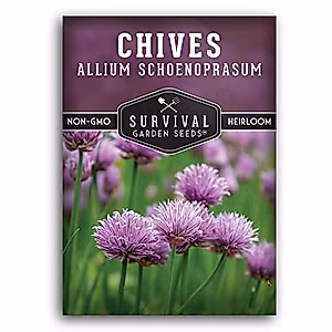 Survival Garden Seeds - Common Chives Seed for Planting - Packet with Instructions to Plant and Grow Delicious Perennial Herbs in Your Home Vegetable Garden - Non-GMO Heirloom Variety
