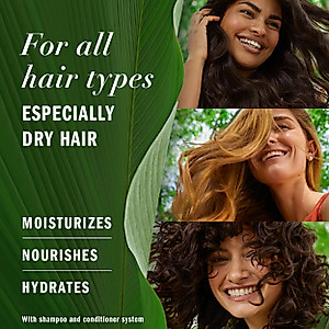 Herbal Essences Coconut Oil Hydrating Shampoo, 13.5 Fl Oz, with Certified Camellia Oil and Aloe Vera, For All Hair Types, Especially Dry Hair