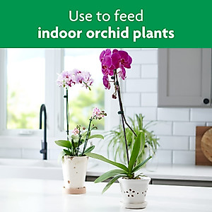 Miracle-Gro Ready-To-Use Orchid Plant Food Mist, 8 oz., Feeds Plants Instantly, 1 Pack