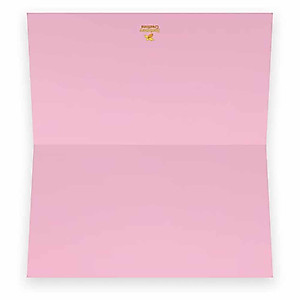 Light Pink Place Cards - Flat or Tent Style - 10 or 50 Pack - White Blank Front Solid Color Border Placement Table Name Dinner Seat Stationery Party Supplies Occasion Event Holiday (10, Tent Style)