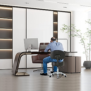 Lilfurni Swivel Rolling Stool Round Chair,Thick Sturdy Padding,Adjustable Stool with Wheels for Doctor,Medical,Massage Salon,Office,Shop(Black) (with Back, Black)