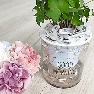 DUQGUHO Clear Quartz Crystals Points Bulk Healing Crystal Stones Irregular Shape Raw Quartz Points Crystal Wand for Jewelry Making Polishing Cabbing Reiki Energy Balance 0.4-1.18" 0.22 lb