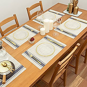 Winknowl Placemats, Set of 8 Heat Resistant Stain Resistant Non-Slip Woven Vinyl Insulation Placemats, Washable Durable Elegant Table Mats for Dining (Beige Blue)