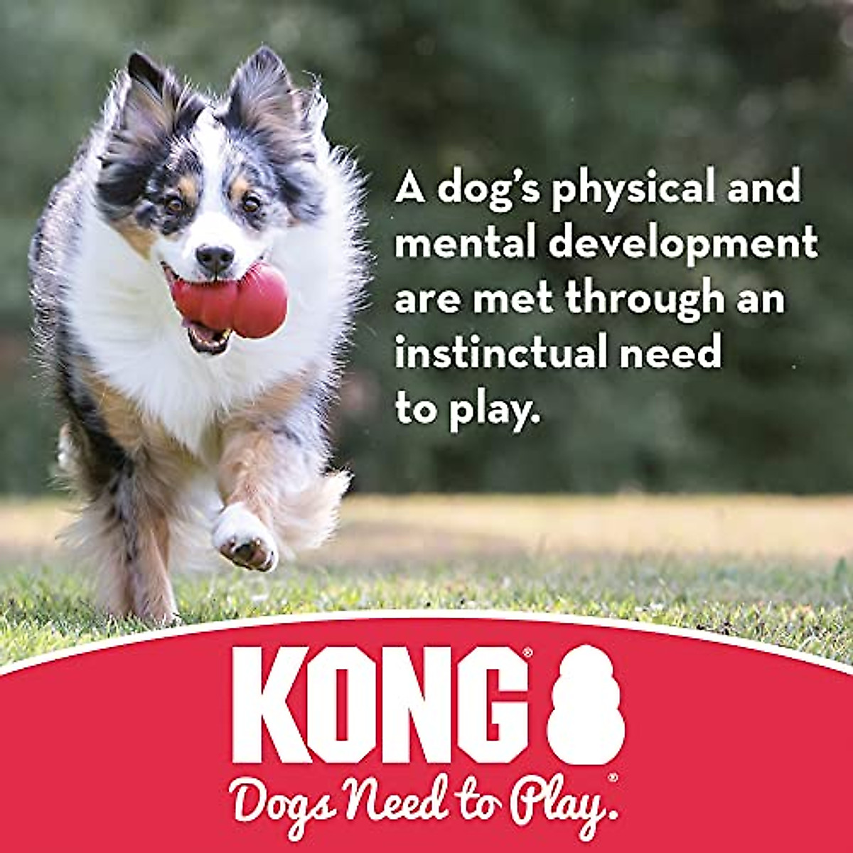KONG - Extreme Flyer - Durable Rubber, Soft Flying Disc for Fetch and Retrieve, Black - Large Dogs