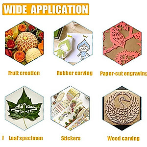 Precision Carving Craft Hobby Knife Kit Exacto Knife 40 Spare Knife Blades with 10 PCS Art Blades, for DIY Art Work Cutting, Scrapbooking, Stencil